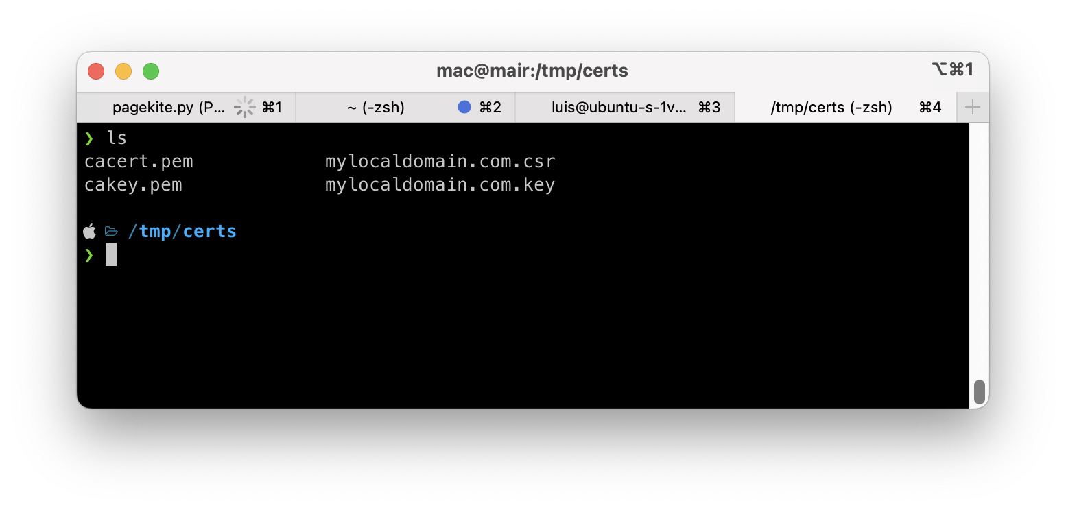 How To Generate Ca And Self Signed Ssl Certificate For Your Website Datmt