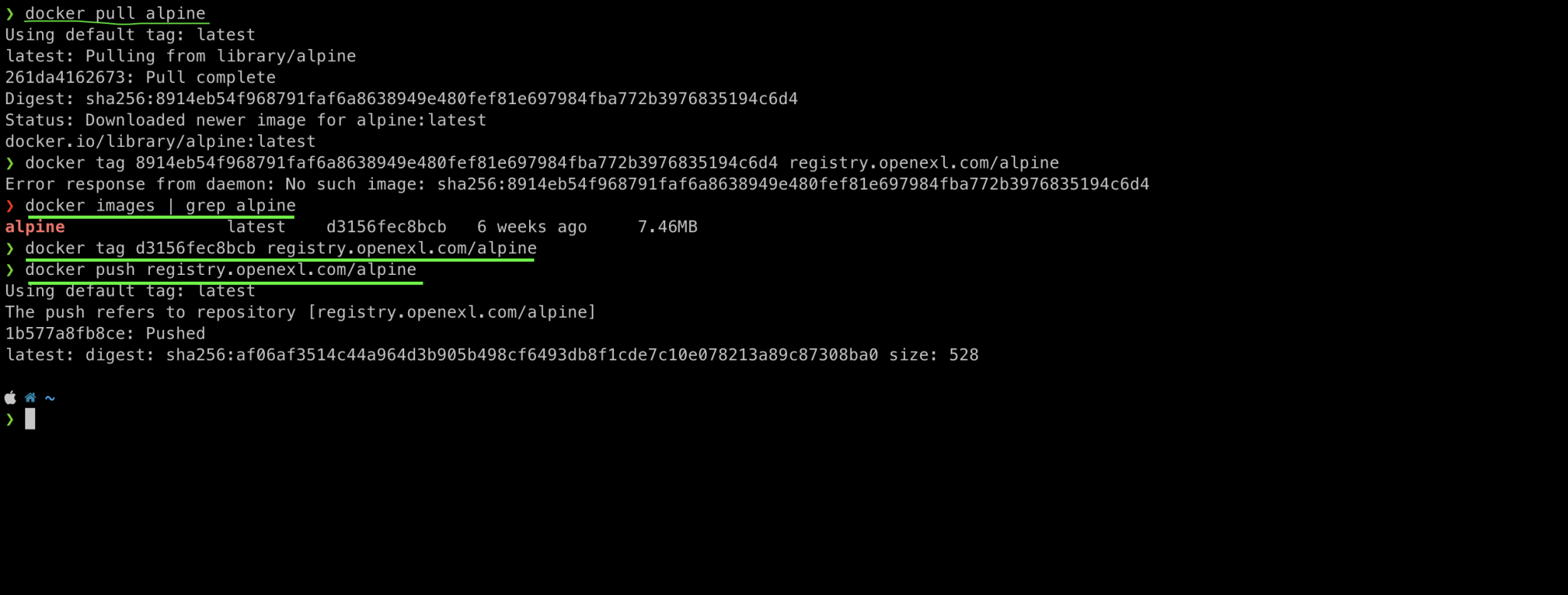 Create Your Own Private Docker Registry With Nexus3 OSS & Caddy - datmt