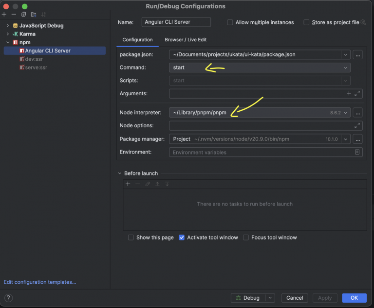 Running PNPM With WebStorm - datmt